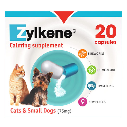 Zylkene Calming Supplement : Buy Zylkene Calming Supplement for ...