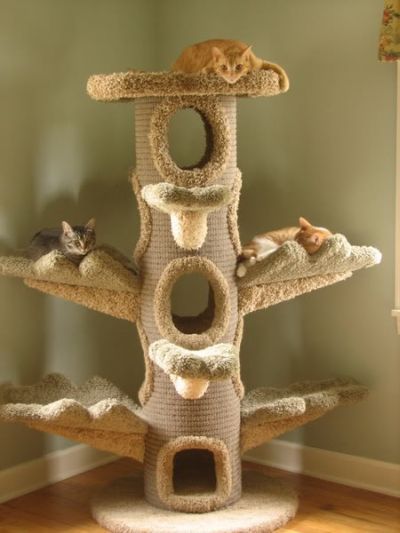 Great Boxing Day Gifts For Your Pets - PetCareSupplies