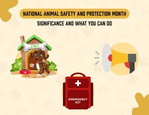 National Animal Safety and Protection Month