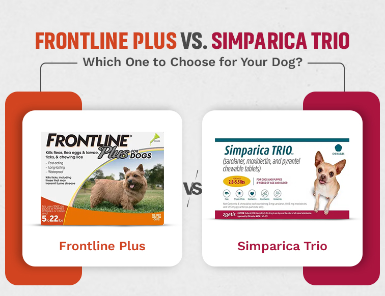 Frontline Plus vs. Simparica Trio – Which One to Choose for Your Dog?