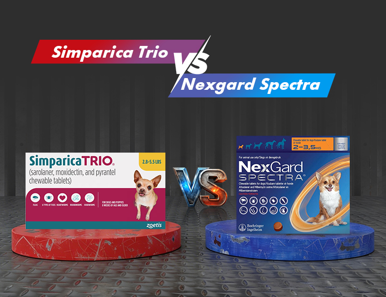 Simparica Trio Vs. Nexgard Spectra for Dogs – A Comparative Analysis